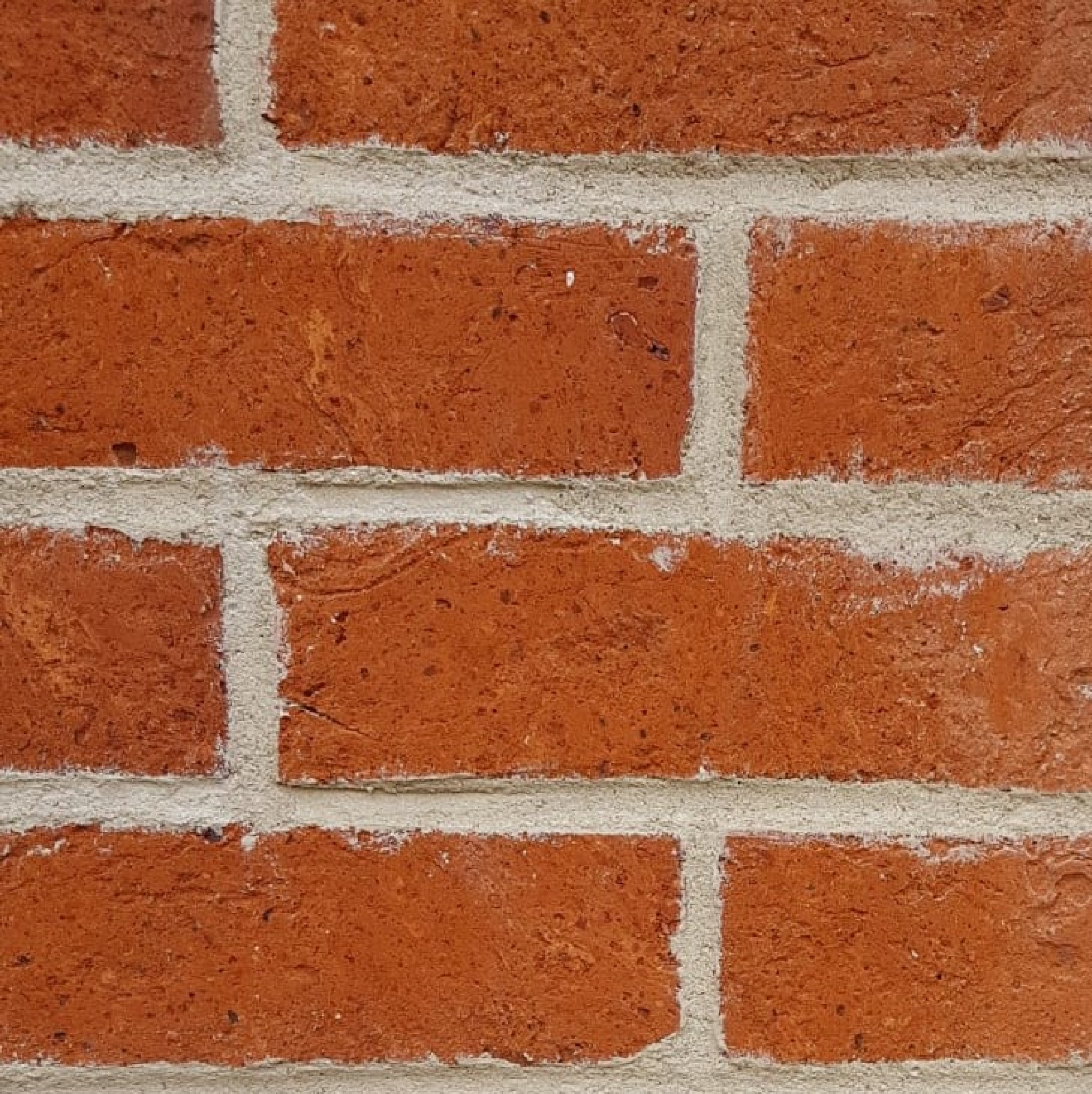 SecilTek Reabilita Cal RJ (RJ35) | Lime Stuff